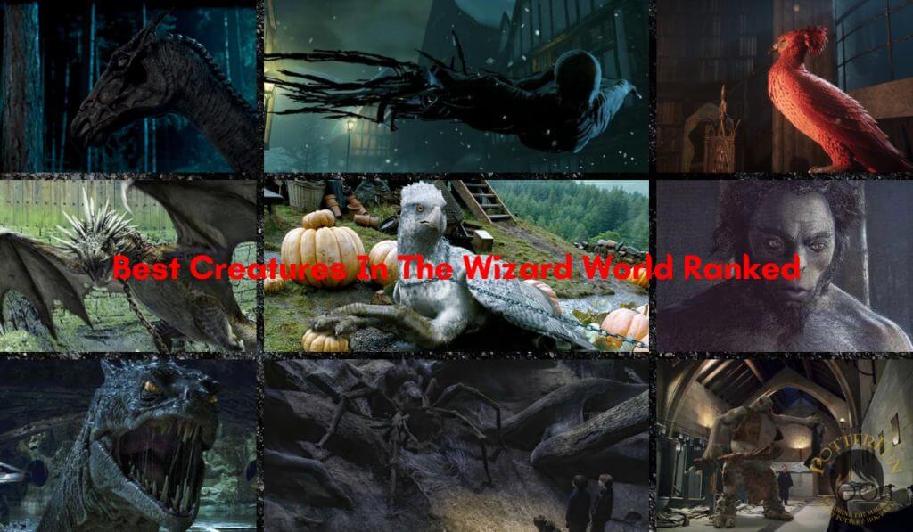 9 Best Creatures In The Wizard World Ranked | PotterFun