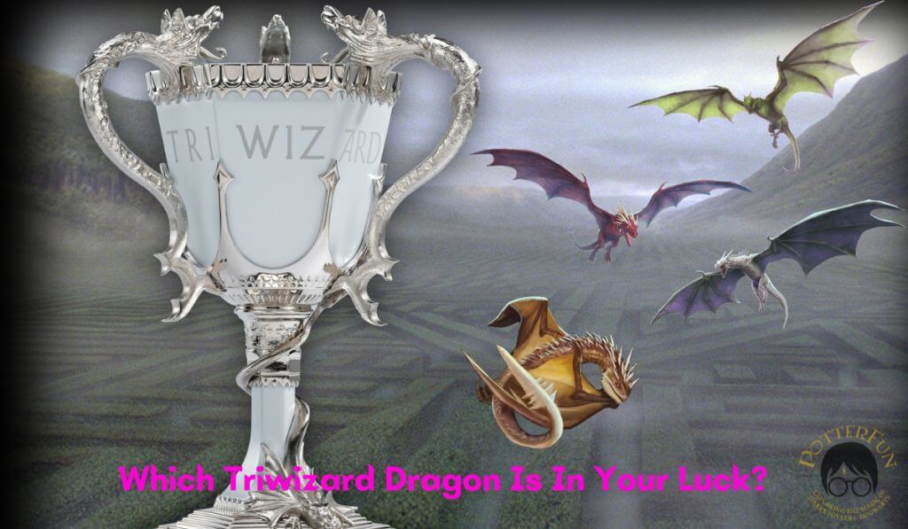 Triwizard Dragon Quiz – Which Triwizard Dragon Is In Your Luck? | PotterFun