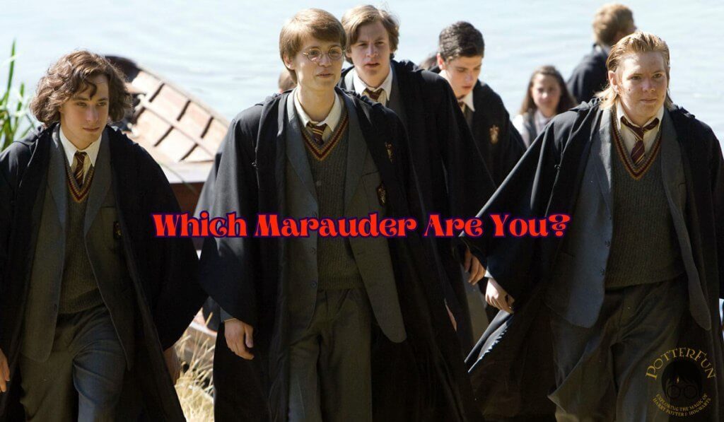 Marauder Hunter Quiz - Which Marauder Are You? | PotterFun